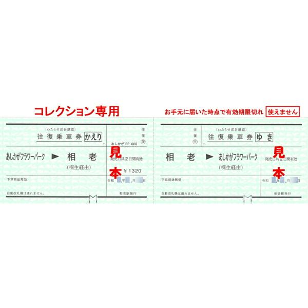 【発売日：2020年03月14日】2020年3月14日(土)発売相老駅からJR両毛線あしかがフラワーパーク駅までの連絡往復乗車券。券面に「相老→あしかがフラワーパーク」と駅名を印刷した軟券の乗車券です。現地まで買いに来られない方のために、オ...