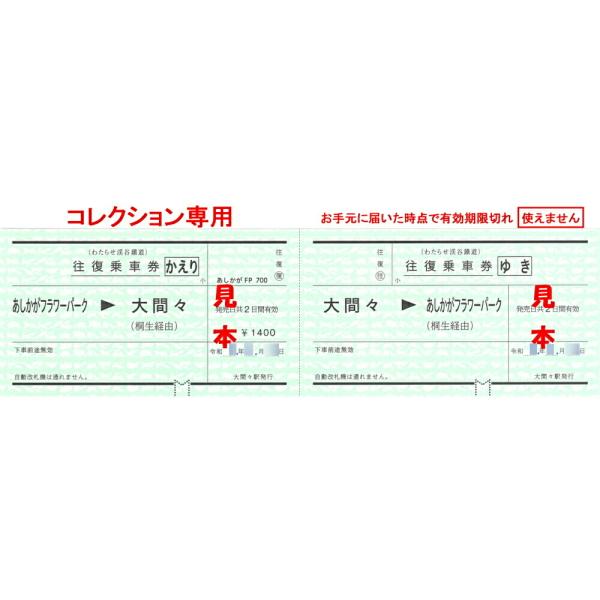 【発売日：2020年03月14日】2020年3月14日(土)発売大間々駅からJR両毛線あしかがフラワーパーク駅までの連絡往復乗車券。券面に「大間々→あしかがフラワーパーク」と駅名を印刷した軟券の乗車券です。現地まで買いに来られない方のために...