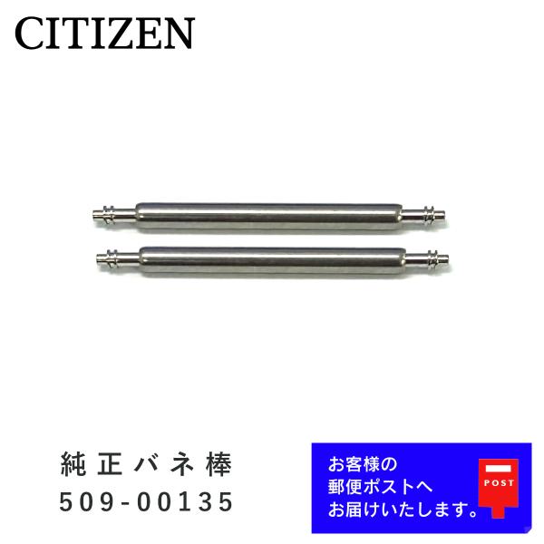 【シチズン製 純正バネ棒 2本セット】●時計本体とバンドを接続するバネ棒です。※尾錠やバックルの接続部分には使用できません。【仕様】■国内正規品■タイプ：両側ツバ付き（ダブルフランジ）■材質：ステンレス■太さ：2.0mm■取付幅：18mm用...