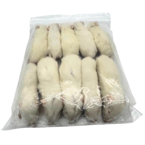 ◇ アダルトラット SSS 30サイズ（30〜40g） 1袋10体入り ◇本製品は、飼育されたラットを原材料としています。冷凍処理済みのため、衛生面に配慮されており、保存も簡便です。主に蛇やトカゲ、その他肉食爬虫類の飼育用途に適しています。...