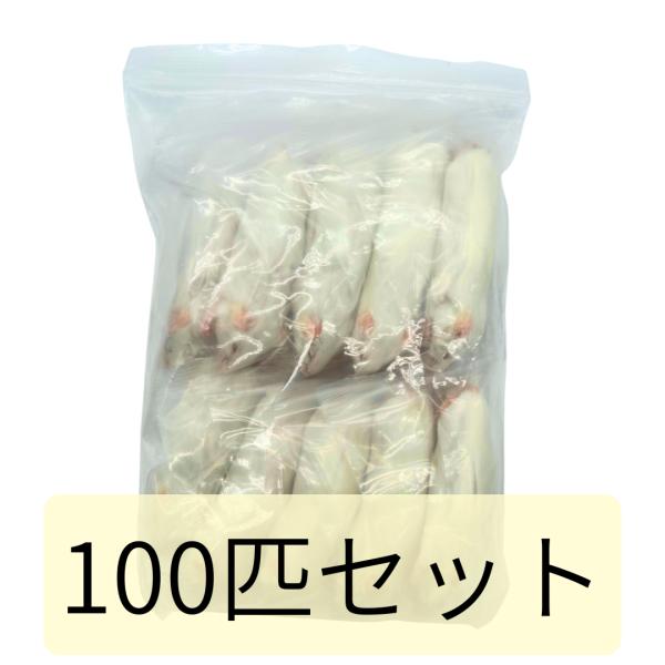 ◇ アダルトM（20〜24g） 100匹セット ◇本製品は、飼育されたマウスを原材料としています。冷凍処理済みのため、衛生面に配慮されており、保存も簡便です。主に蛇やトカゲ、その他肉食爬虫類の飼育用途に適しています。100匹セットの商品とな...