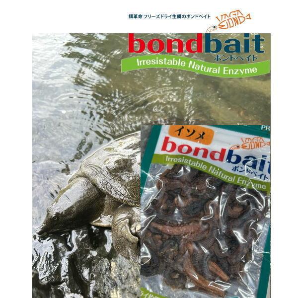 ボンドベイト熟成黒イソメ（ゴカイ類）は動物性で、アミノ酸や分解成分（トリメチルアミンなど）を豊富に含み、嗅覚の鋭いすっぽん・なまず・うなぎ等にベストマッチ！フリーズドライでも、水で戻すことで生に近い匂いが復活します。特に熟成黒イソメは、水で...