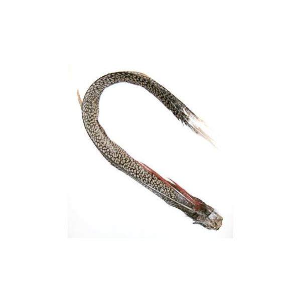 ゴールデンフェザントコンプリートテール画像にチラッと見えているスピアーの部分はありません。英国の老舗であるビニアード社のマテリアルです。