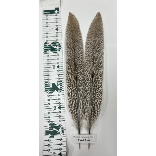 数年振りの入荷。ストーク長約34センチ（羽部分は28センチ）ファイバー長4センチ強#4ぐらいのウェットフライのウイングは余裕でまかなえます。細かく柄が出ている美品です。