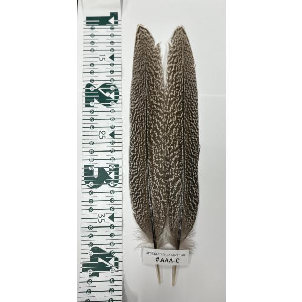 数年振りの入荷。ストーク長約32センチ（羽部分は26センチ）ファイバー長4センチ弱#4〜＃6ぐらいのウェットフライのウイングは余裕でまかなえます。左右バランス良く柄が出ている美品です。