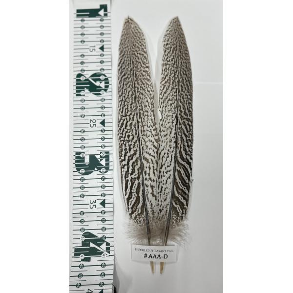 数年振りの入荷。ストーク長約32センチ（羽部分は27センチ）ファイバー長4センチ前後#4〜＃6ぐらいのウェットフライのウイングは余裕でまかなえます。大柄で白地が少し強い美品です。