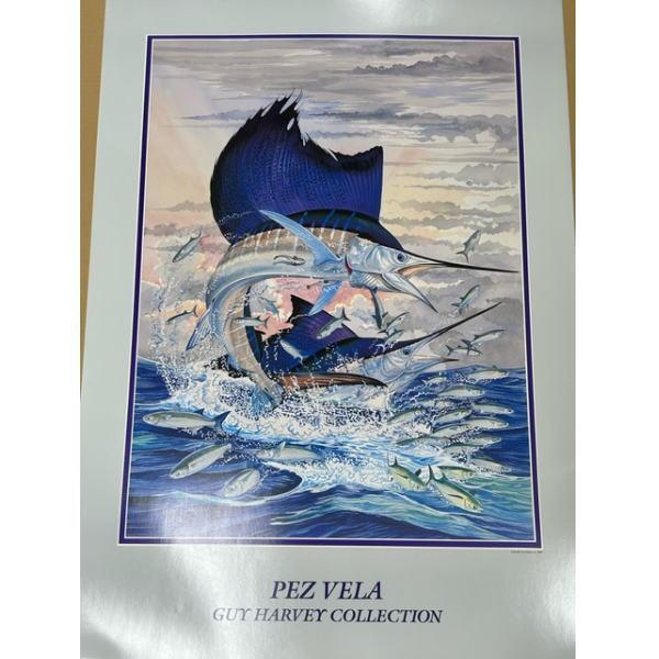 アメリカ直輸入商品Guy Harvey Shopの販売価格10月6日時点で、　￥6,100（但し、本品はポスターとしてのラインナップが現在ありませんので、他のポスターの価格を参考としています。）世界が誇る海洋生物画家、そして海洋保全の第一人...