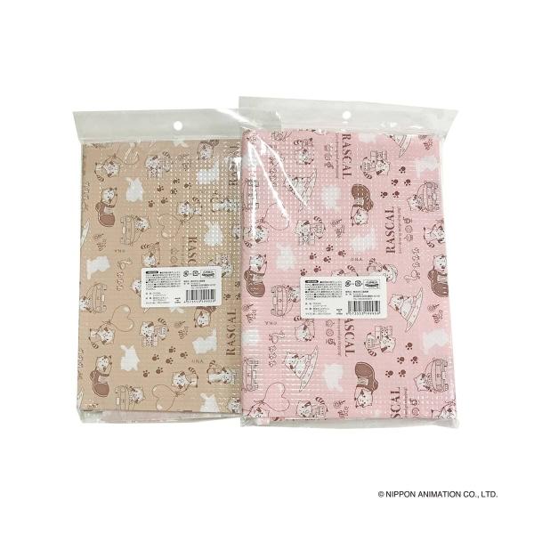 キャンプやピクニックに！かわいいラスカルのレジャーシートです。サイズ：(約)90×120cm【材質】発泡ポリエチレン、ポリプロピレン【JAN】4573553199959【パッケージサイズ】365×245×20mm【関連キーワード】