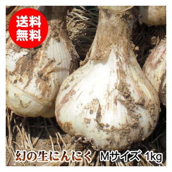 スーパー等で通年販売しているにんにくは、にんにくの芽が出るのを抑制するため加熱処理を施し冷蔵保存しているものです。生にんにくは、加熱処理を一切せず掘りたてをそのまま出荷するため、風味豊かでみずみずしく、毎年収穫時期のほんの数日にしか味わえな...