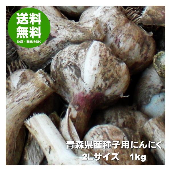 青森県産種子用にんにくは、連作を行わずに徹底管理された管理圃場で栽培しており、食用として栽培されたにんにくより病害虫や連作障害のリスクが低いです。消毒を施しておりませんので、余った種子にんにくは食用にしても問題ございません。 【梱包・保管方...