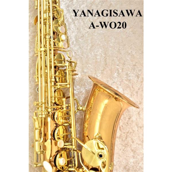 Yanagisawa A-WO20の人気商品・通販・価格比較 - 価格.com