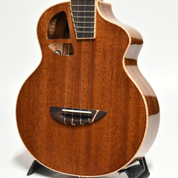 2009年マレーシアで誕生したブランド、ボディは総単板かつマイクとピエゾのデュアルピックアップを搭載したモデルです。