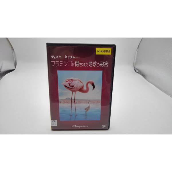 古いものですので使用感あります。写真をご確認の上入札をお願いします。視聴確認してませんので、ノークレームノーリターンでお願いします。オークションは現物の状態を確認できないお取引です。そのため、商品の状態を100％お伝えするのは不可能です。個...