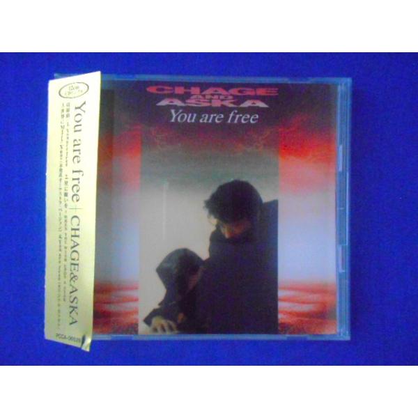 こちらはレンタル落ち・販売落ちの中古CDになります。ゆうメール規定範囲内の商品はゆうメールにて発送致します。規定範囲外もしくは複数ご購入いただいた場合は佐川急便での発送へと変更になる為、送料に変動がございます。商品の内容・詳細につきましては...