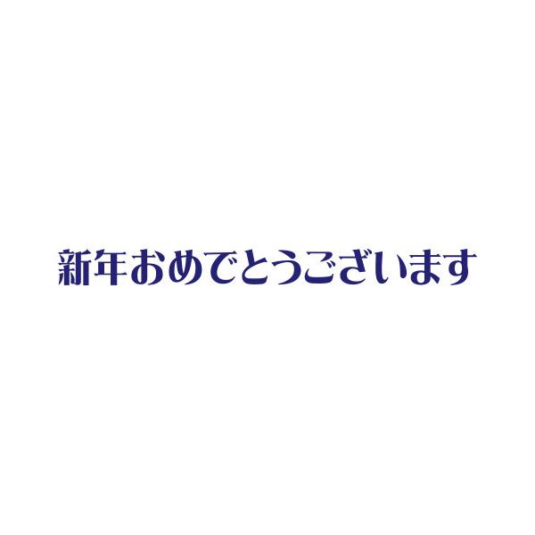他のすたんぷと併用をオススメする、長文の新年挨拶すたんぷです。他のスタンプとバランスを取れるように、少し小さめのサイズとなっています。右上に捺したり、真ん中に捺したりするのは自由。バランスを考えてご使用くださいね。また、かわいいスタンプと併...