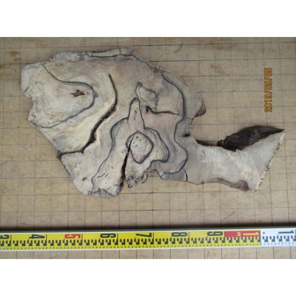 760（長さ最大寸法）、425（縦最大寸法）、45（厚み）単位ミリ、写真のマス目は縦横5cmです、写真1、2枚目と3,4枚目は面が違います（裏表）、黒柿の輪切り材です輪切り材ですので小口割れが有り今後も割れが出ることが有ります、割れ傷などが...