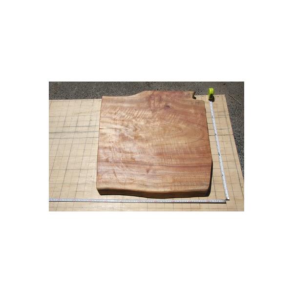 椨（たぶ）740（長さ）、　750〜800〜670（幅、木表、表面の平らな部分の寸法）55（厚み）単位ミリ、       写真の縦横のマス目は5cmです、写真1〜8枚目木表、9〜16枚目木裏を表示しています、自然乾燥材です、       自...