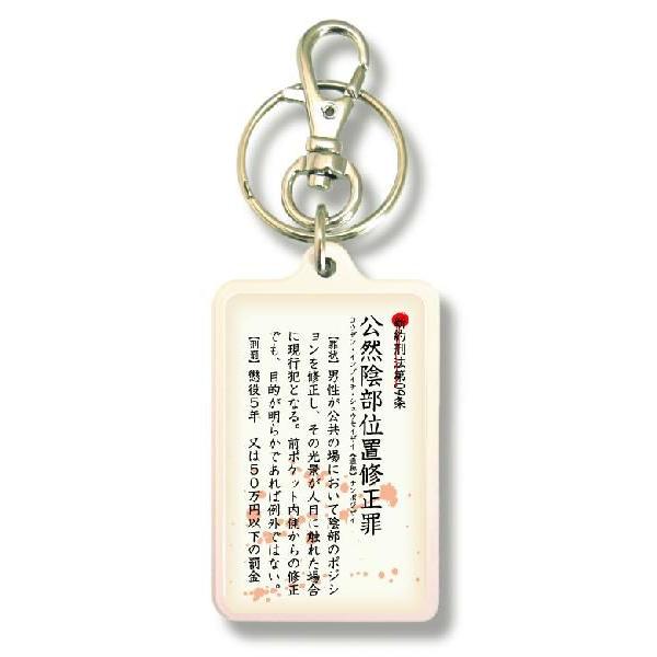 SIZE:W3.3cm H5cm※新約刑法ステッカーは全てフィクションです。屋外使用ＯＫ！耐水性のあるステッカーがキーホルダーの両面に張られています。便利な2WAYなので鍵と一緒はモチロン、カバンや携帯など色々なところでお楽しみ下さい。