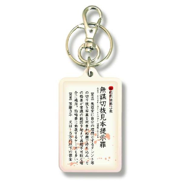 SIZE:W3.3cm H5cm※新約刑法ステッカーは全てフィクションです。屋外使用ＯＫ！耐水性のあるステッカーがキーホルダーの両面に張られています。便利な2WAYなので鍵と一緒はモチロン、カバンや携帯など色々なところでお楽しみ下さい。