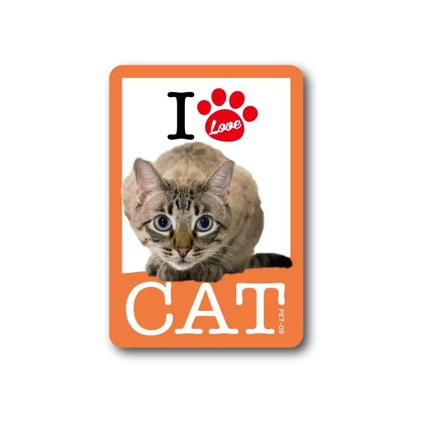 SIZE:W45 H66mm猫好きの方必見！プレゼントにもオススメです。スマホにピッタリの小さめサイズなので、様々なところで使いやすい！屋外使用ＯＫ！耐水性のあるステッカーです。白色のビニール素材に印刷されています。バイクやメットはもちろん...