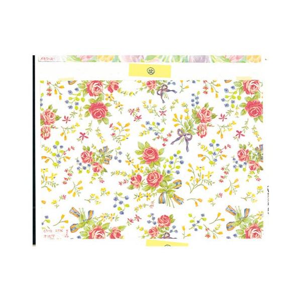 ■ 入数： 100枚■ 規格： 半才■ 寸法： 縦530×横757mm■ 紙質： コート紙