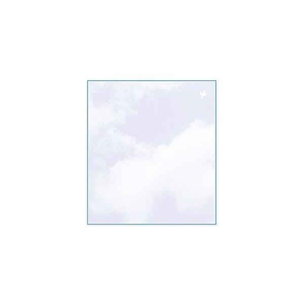 スタンダードサイズのカラー色紙です。爽やかな青空が、旅立ちのシーンにぴったりの色紙です。色紙右上には、飛び立つ白い鳥があしらわれています。淡いトーンの水色で絵柄が目立ちすぎず、文字が書きやすい♪大きさは、スタンダードな色紙サイズ。【仕様】本...