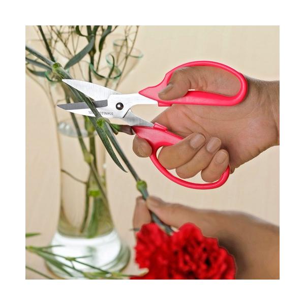 ピンクの取っ手がかわいいフラワーはさみ。サビに強いステンレス製で滑らかな軽い切れ味を保ちます。全長(mm)：82全幅(mm)：168全高(mm)：0本体重量(g)：64材質：刃部：ステンレス鋼 / ハンドル：ABS樹脂原産国：中国