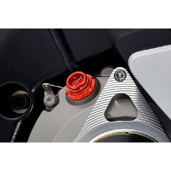 ※詳細な出荷時期はご注文後にメールでご案内します。■適合車種S1000RR　S1000RR   ■商品番号454-024-200GM■商品概要サイズ：M24×P2.0素材：アルミ削り出し付属品：専用ステンレス製ワイヤーリンク×2個、ワイヤー