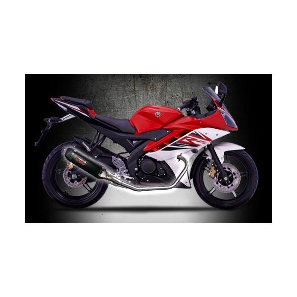 ※詳細な出荷時期はご注文後にメールでご案内します。■適合車種YZF-R15　YZF-R15 年式: 15-  ■商品番号PR004■商品概要材質：ステンレスパイプ／アルミサイレンサー (ブラック仕上げ)／耐熱プラスチックエンドキャップ消音バ...