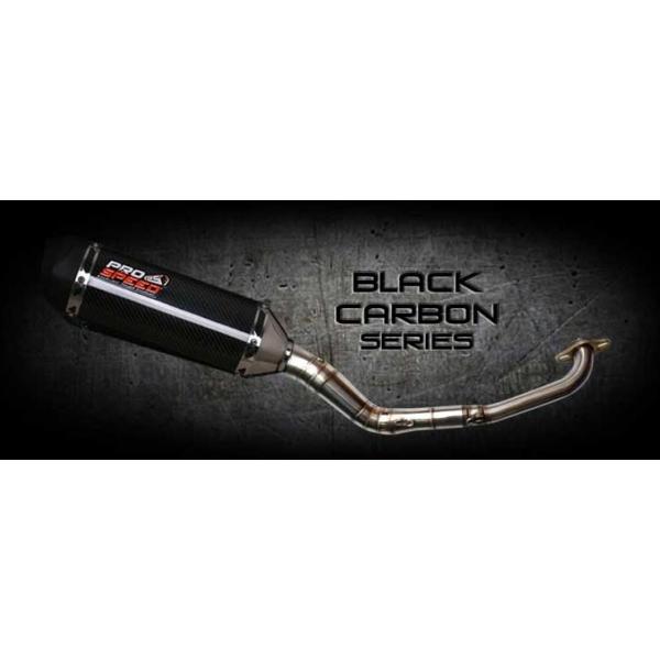 ※詳細な出荷時期はご注文後にメールでご案内します。■適合車種ADV150　ADV150   ■商品番号PR023■商品概要材質：ステンレスパイプ／カーボンサイレンサー／耐熱プラスチックエンドキャップ消音バッフル付き