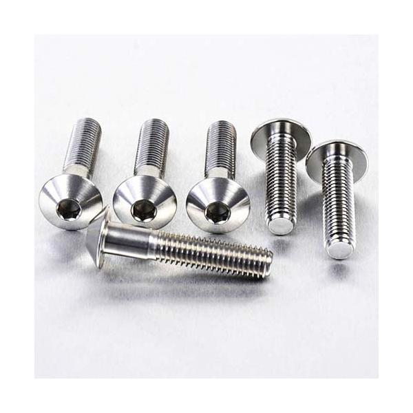 ※詳細な出荷時期はご注文後にメールでご案内します。■適合車種Speed Triple 1050　Speed Triple 1050 年式: 10-14  ■商品番号SSFBCALIP220■商品概要・磨き仕上げ素材：ステンレス製品タイプ：ブ...