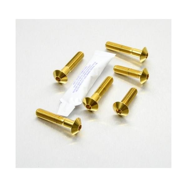 ※詳細な出荷時期はご注文後にメールでご案内します。■適合車種Speed Triple 1050　Speed Triple 1050 年式: 10-14  ■商品番号SSFBCALIP220G■商品概要・磨き仕上げ素材：ステンレス製品タイプ：...