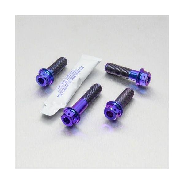 ※詳細な出荷時期はご注文後にメールでご案内します。■適合車種SV650S　SV650S 年式: 03-07  SV650　SV650 年式: 03-08  ■商品番号TISUBF110DDP■商品概要素材：チタン製品タイプ：フレーム／ボルト...