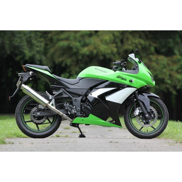 ※詳細な出荷時期はご注文後にメールでご案内します。■適合車種ニンジャ250R　ニンジャ250R  型式: EX250K ■商品番号6502D■JANコード4582287242046■商品概要認定取得：政府認証フィッティングタイプ：スリップオ...