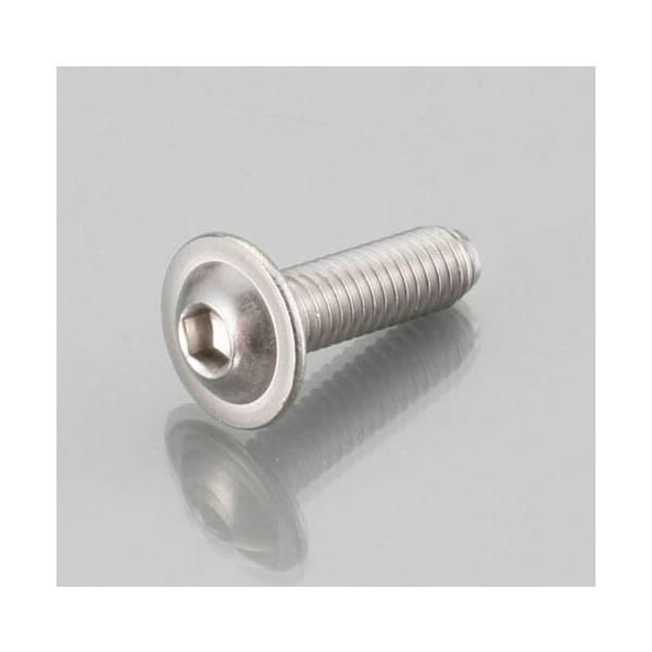 ※詳細な出荷時期はご注文後にメールでご案内します。■適合車種　   　　備考: 汎用■商品番号0900-052-10002■JANコード4990852081110■商品概要サイズ：M5×P0.8素材：ステンレス締付トルク値：0.1-0.2k...