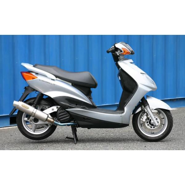 ※詳細な出荷時期はご注文後にメールでご案内します。■適合車種シグナスX　シグナスX 年式: 03-15  ■商品番号W-1282-1034■商品概要●エキパイ素材：ステンレス●サイレンサー素材：ステンレス●近接騒音：87dB●ハニカムキャタ...