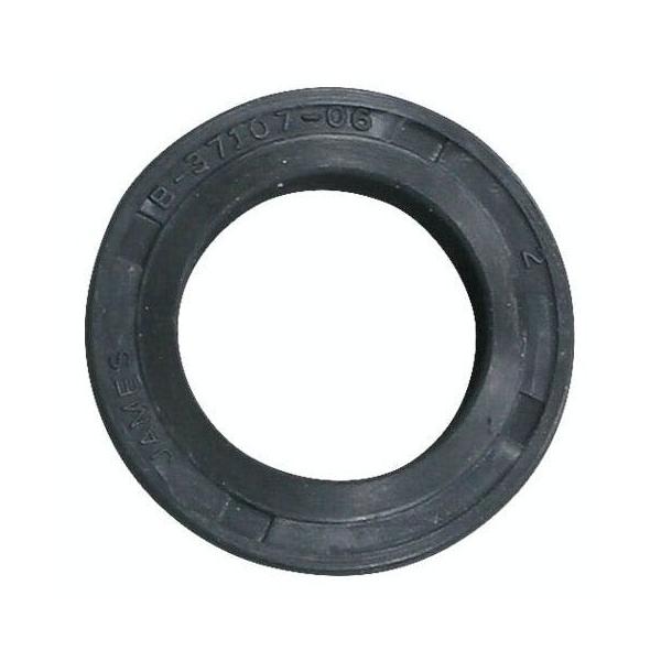 ※詳細な出荷時期はご注文後にメールでご案内します。■適合車種SPORTSTER [スポーツスター] ファミリー　SPORTSTER [スポーツスター] ファミリー   　　備考: 06-■商品番号010499■商品概要素材：メタル内容物オイ...