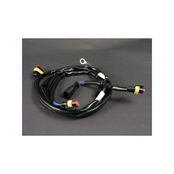 ※詳細な出荷時期はご注文後にメールでご案内します。■適合車種MONSTER800 [モンスター]　MONSTER800 [モンスター]   　　備考: 04 (インジェクション) 端子幅が狭い方のマイナス線に結線MONSTER400 [モン...