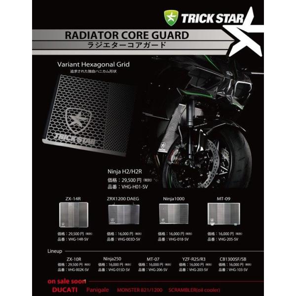 ※詳細な出荷時期はご注文後にメールでご案内します。■適合車種KATANA　KATANA 年式: 19-22  GSX-S1000　GSX-S1000 年式: 16-22  GSX-S1000F　GSX-S1000F 年式: 16-21  G...