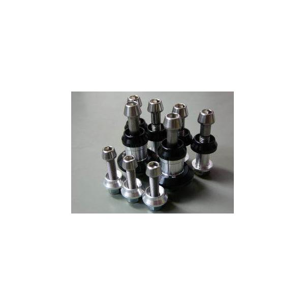 ※詳細な出荷時期はご注文後にメールでご案内します。■適合車種SR　SR   ■商品番号R0603B-T■商品概要■BORE-ACEライトステー、クランプステー、CIBIEMOTO180専用【入数】9本