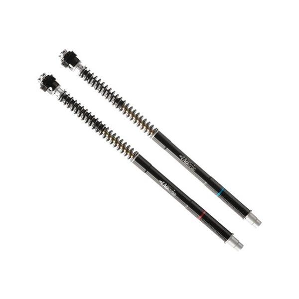 ※詳細な出荷時期はご注文後にメールでご案内します。■適合車種PANIGALE V4 1100　PANIGALE V4 1100 年式: 18-19  ■商品番号F25D136SA■JANコード4580365742853■商品概要【タイプ】F...