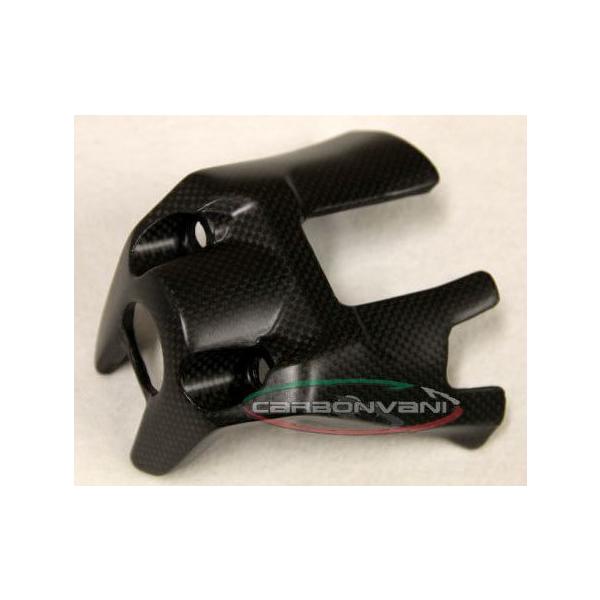 ※詳細な出荷時期はご注文後にメールでご案内します。■適合車種MONSTER 797　MONSTER 797   ■商品番号DM797-09■商品概要素材：ドライカーボン