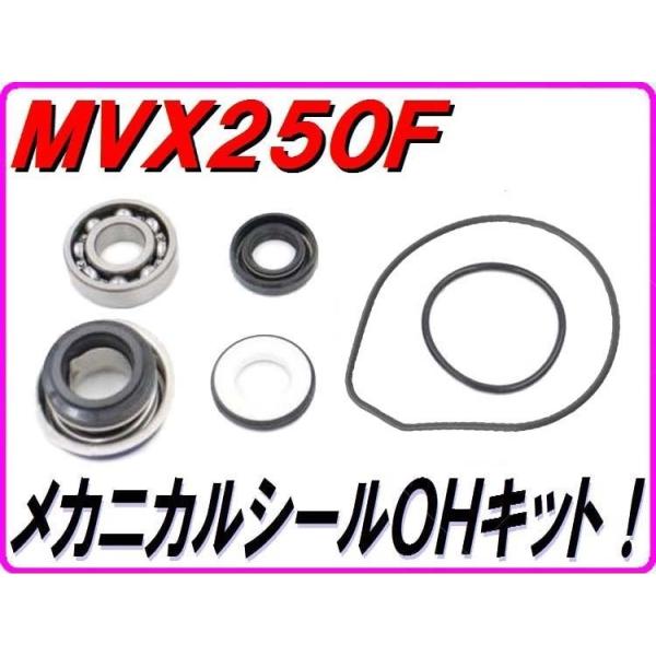 ※詳細な出荷時期はご注文後にメールでご案内します。■適合車種MVX250F　MVX250F   　　備考: MC09■商品番号E7-09001■商品概要【商品内容】・メカニカルシール・軸用ベアリング・軸用オイルシール・カバー用Oリング・エン...