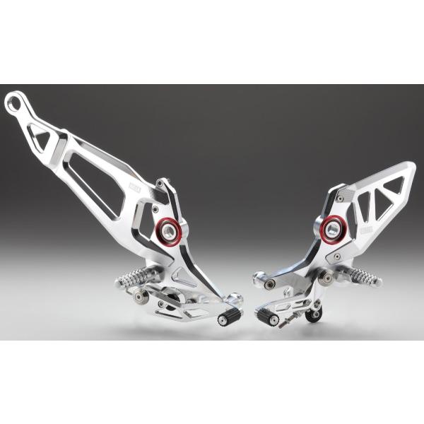 ※詳細な出荷時期はご注文後にメールでご案内します。■適合車種MONSTER 937　MONSTER 937 年式: 21-  　　備考: Monster＋(937)　に適合いたします■商品番号AE-10100-PO■JANコード457008...