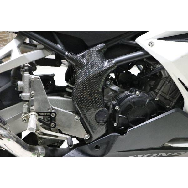 ※詳細な出荷時期はご注文後にメールでご案内します。■適合車種CBR250RR　CBR250RR   ■商品番号CBR250CRC■商品概要素材：カーボングロスフィニッシュ左右セット3M両面テープ付属