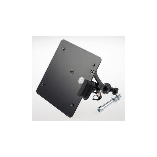 ※詳細な出荷時期はご注文後にメールでご案内します。■適合車種SPORTSTER　SPORTSTER   　　備考: ALL SPO■商品番号HD-SPO012-D■商品概要License plate size：B-180xH-200 mm ...