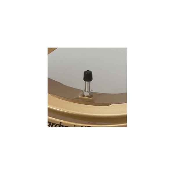 ※詳細な出荷時期はご注文後にメールでご案内します。■商品番号P0001■商品概要適応バルブ穴径：Φ8.4mm仕様：ストレートエアバルブ標準仕様