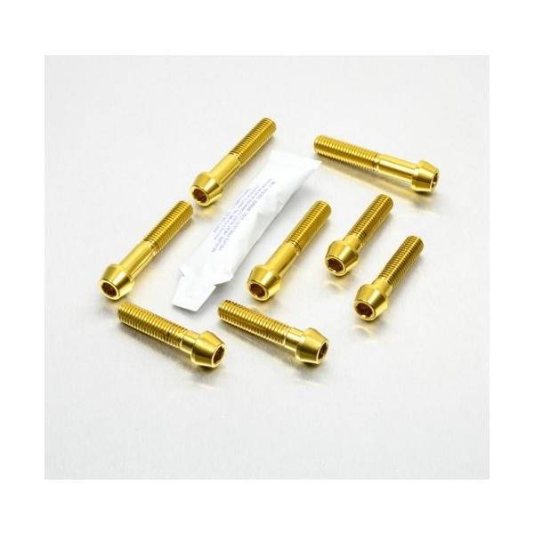 ※詳細な出荷時期はご注文後にメールでご案内します。■適合車種Speed Triple 955i　Speed Triple 955i 年式: 02-04  ■商品番号SSFBCALIP90G■商品概要・磨き仕上げ素材：ステンレス製品タイプ：ブ...