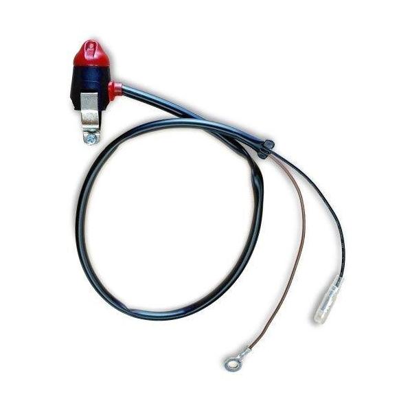 ※詳細な出荷時期はご注文後にメールでご案内します。■商品番号WET-12C