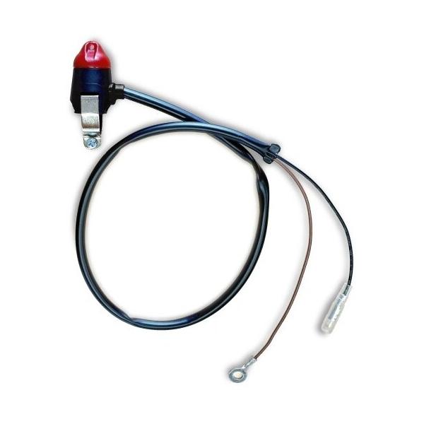 ※詳細な出荷時期はご注文後にメールでご案内します。■商品番号WET-12O